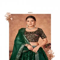 STYLISHTA AAKRUT VOL 4 HEAVY BANGLORI SILK ASTONISHING LEHENGA CATALOG ...